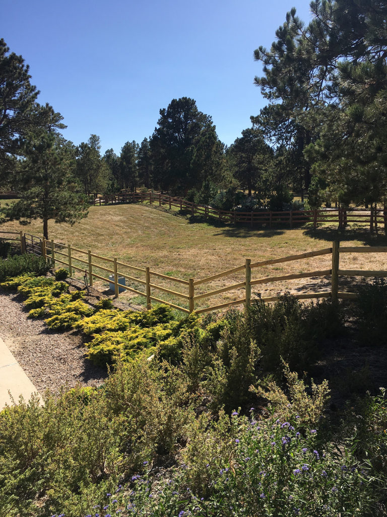 Split Rail & Doweled Fencing Installation in Colorado Springs | Rustic ...