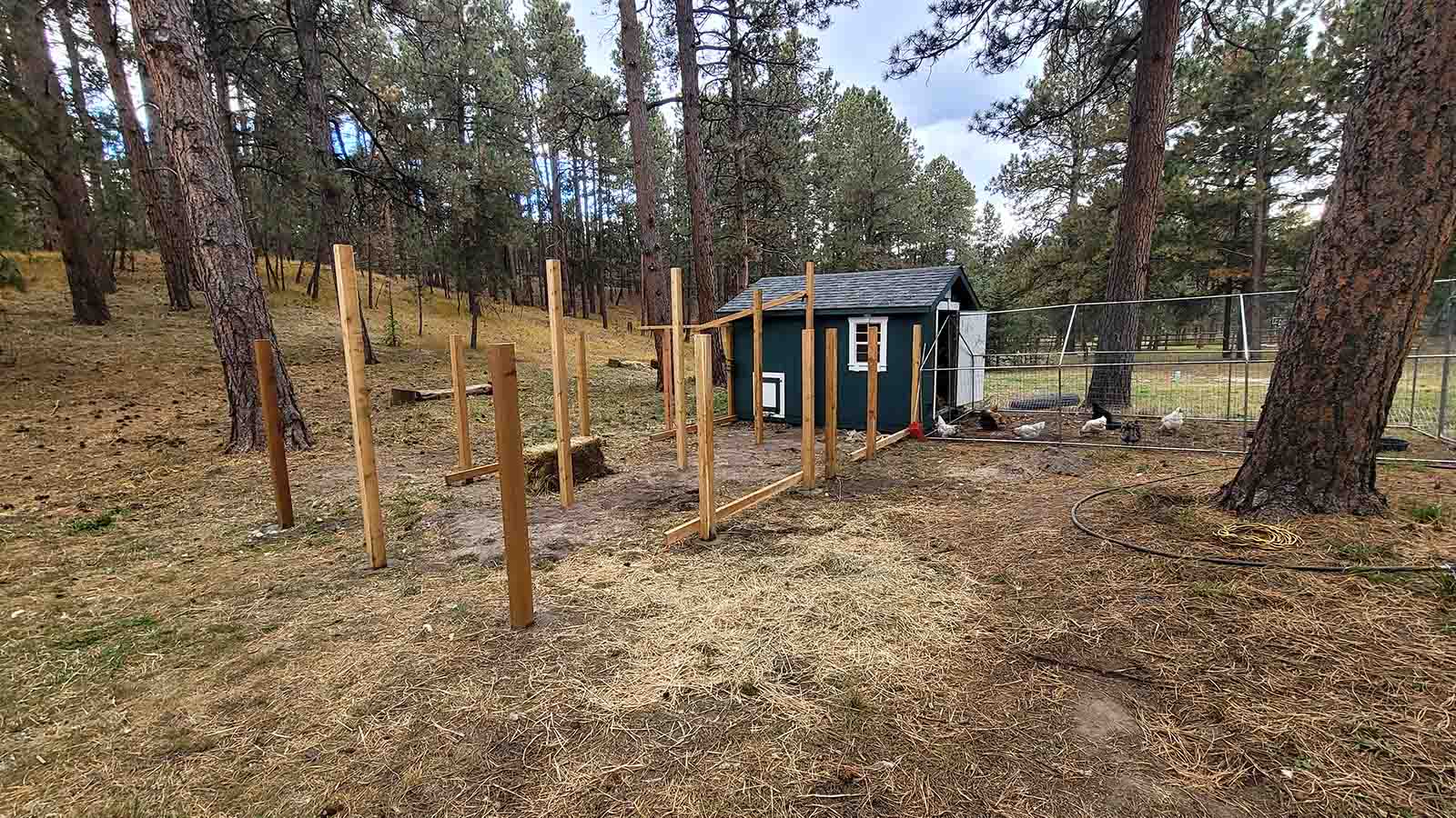 Chicken Coop Installation in Colorado Springs | Custom Backyard Coops
