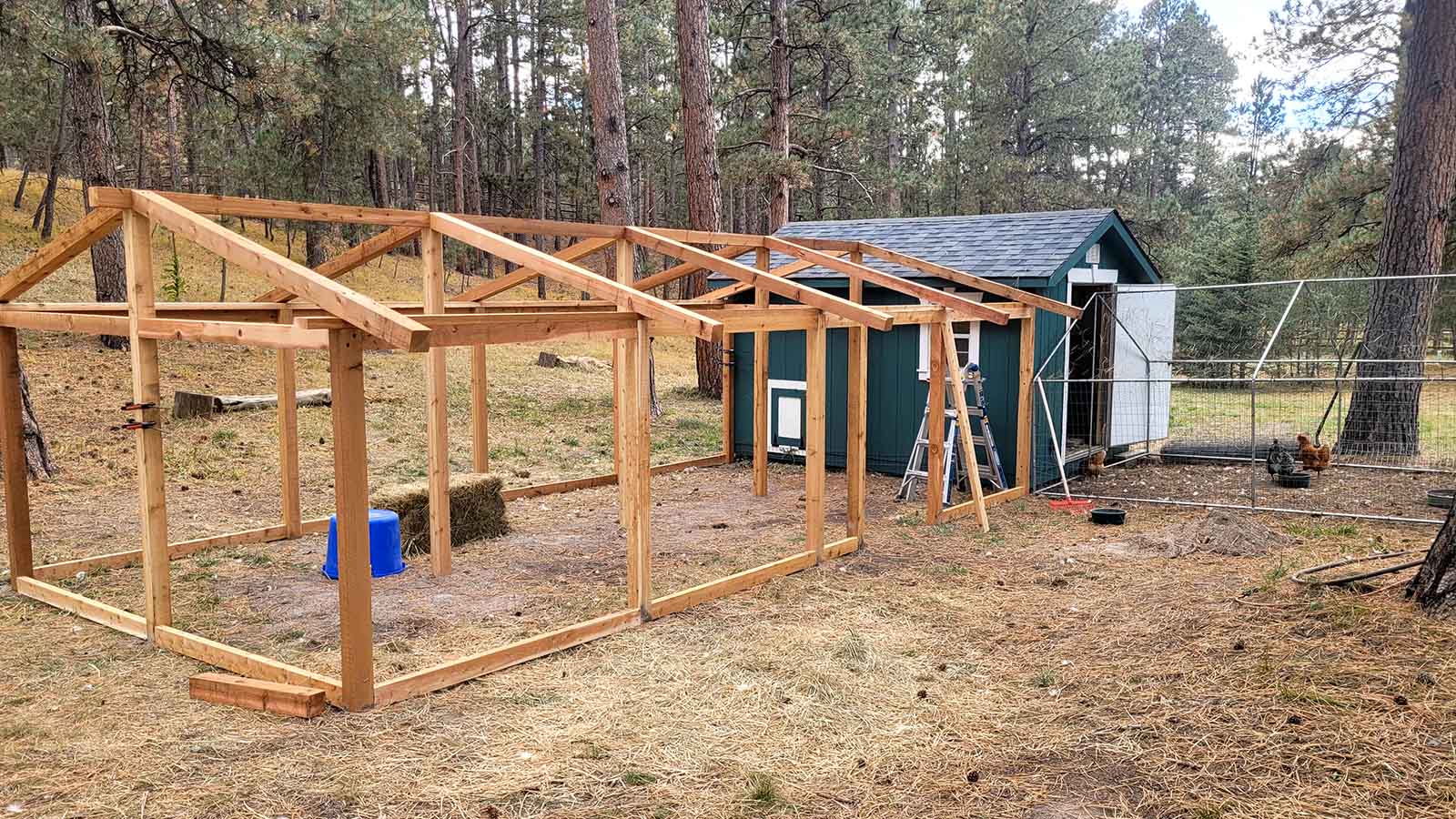 Chicken Coop Installation in Colorado Springs | Custom Backyard Coops