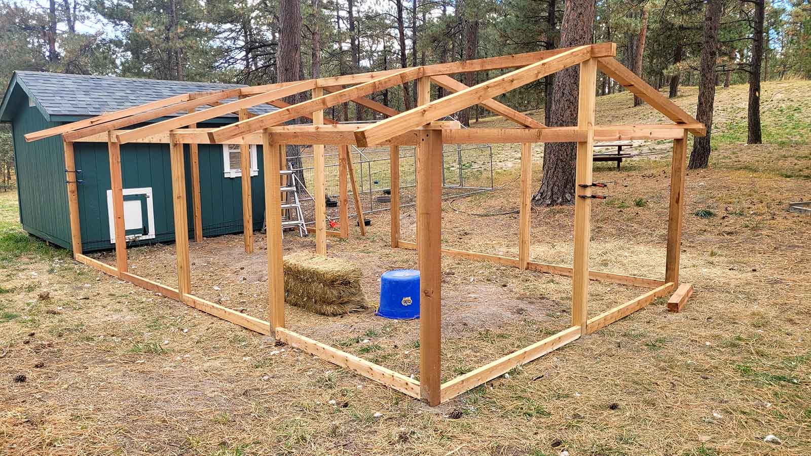 Chicken Coop Installation in Colorado Springs | Custom Backyard Coops