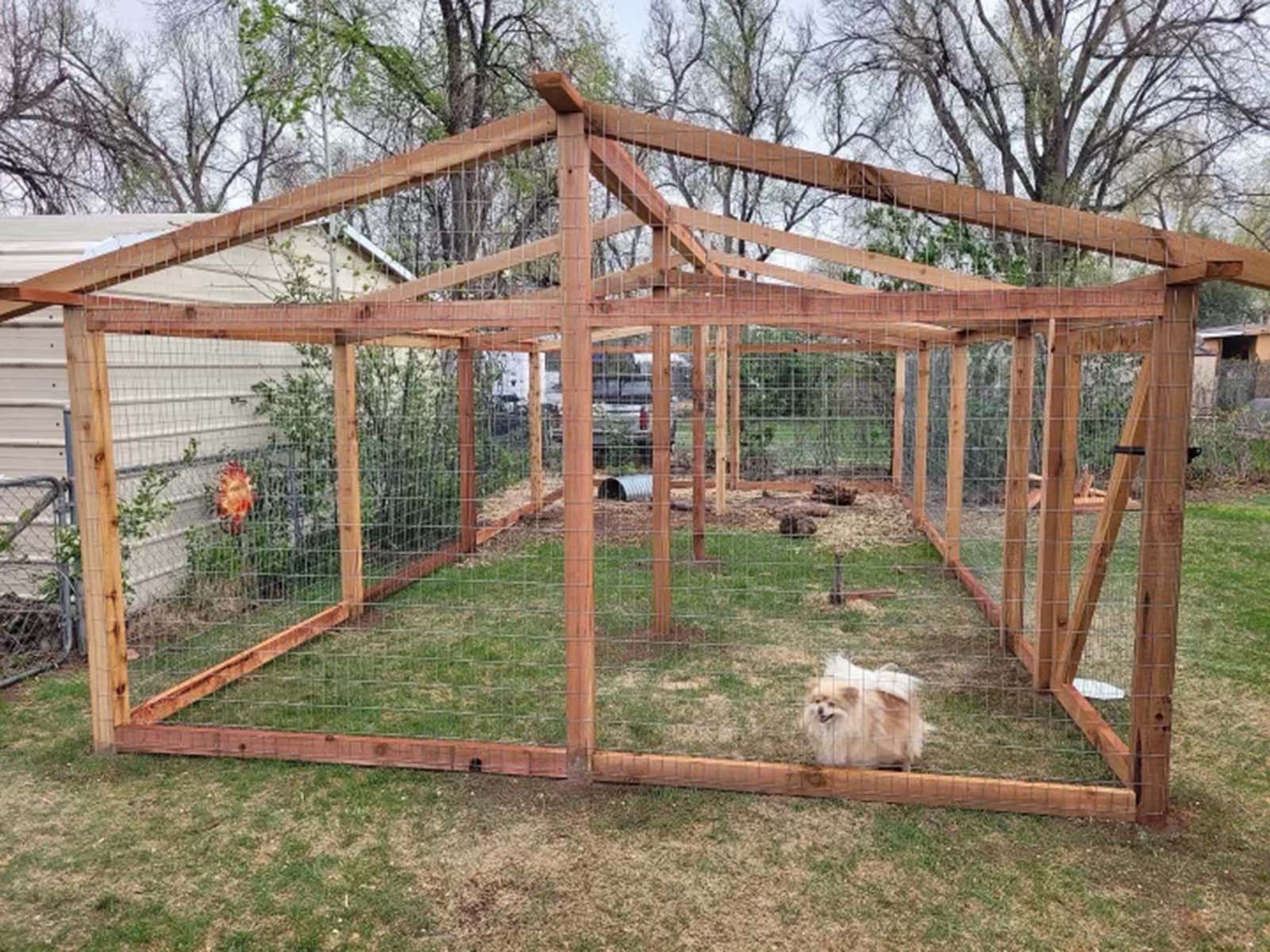 Chicken Coop Installation in Colorado Springs | Custom Backyard Coops