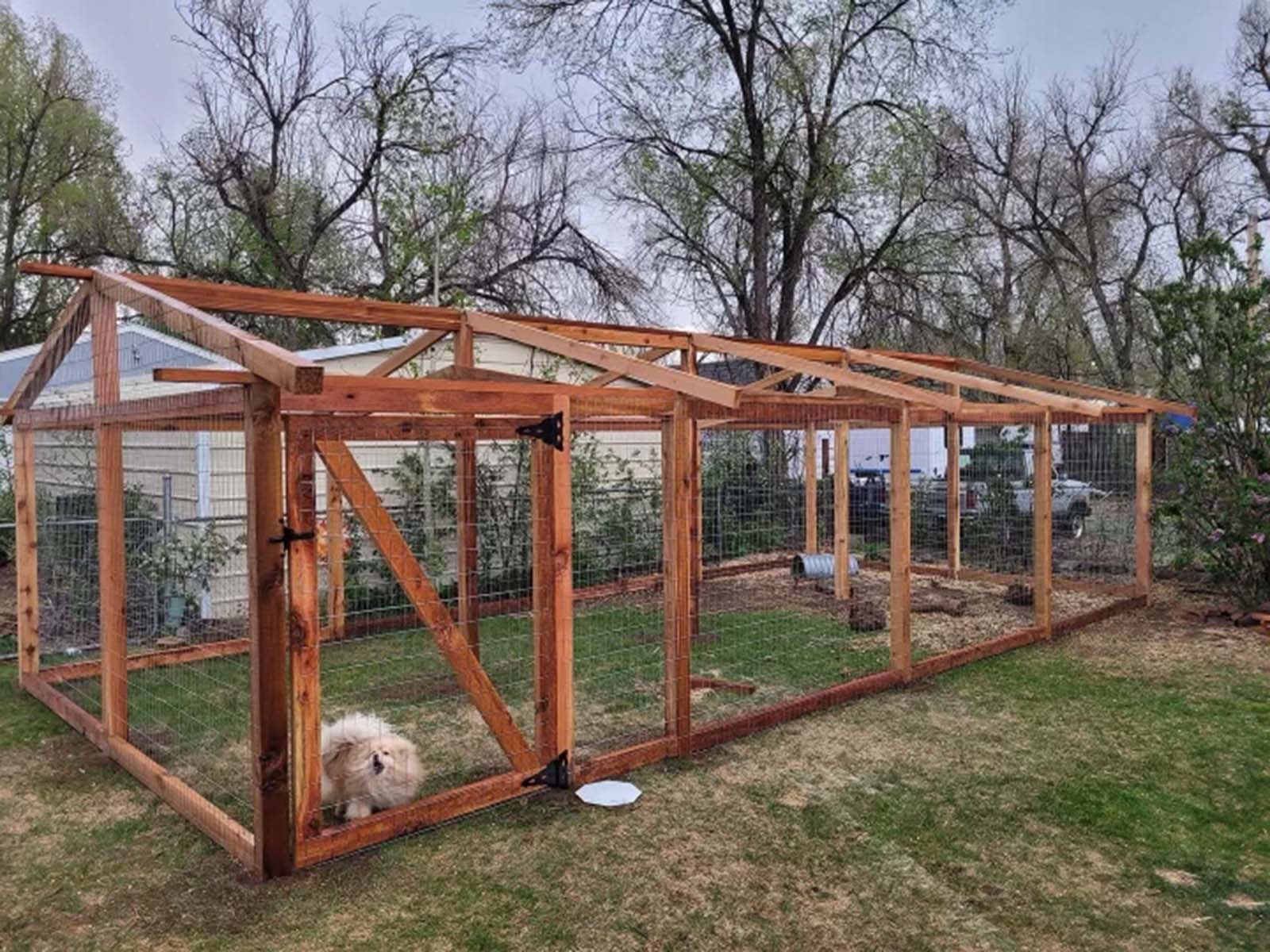 Chicken Coop Installation in Colorado Springs | Custom Backyard Coops